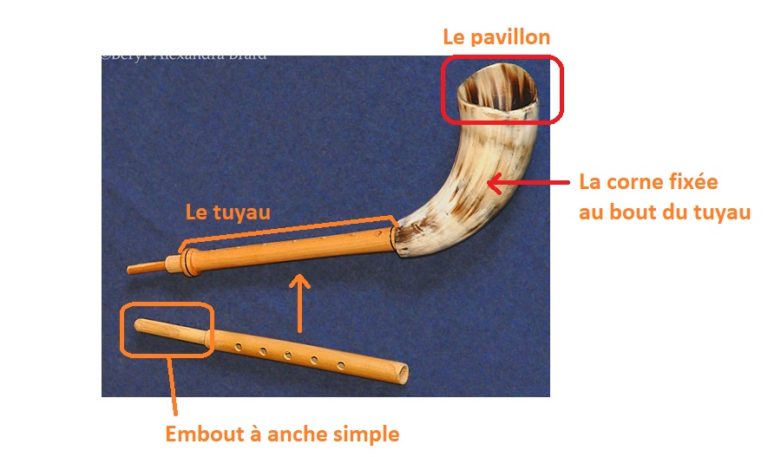 Les instruments du Moyen âge - Séquence n°3 - 2024 - Musique au collège